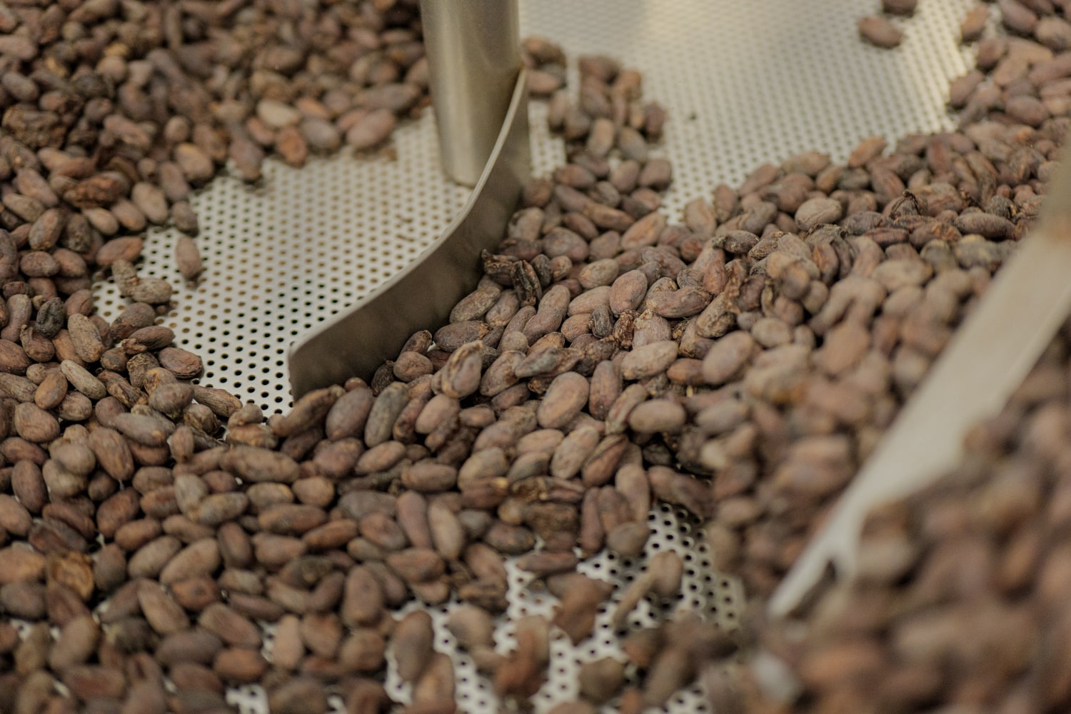 About – Primo Chocolab