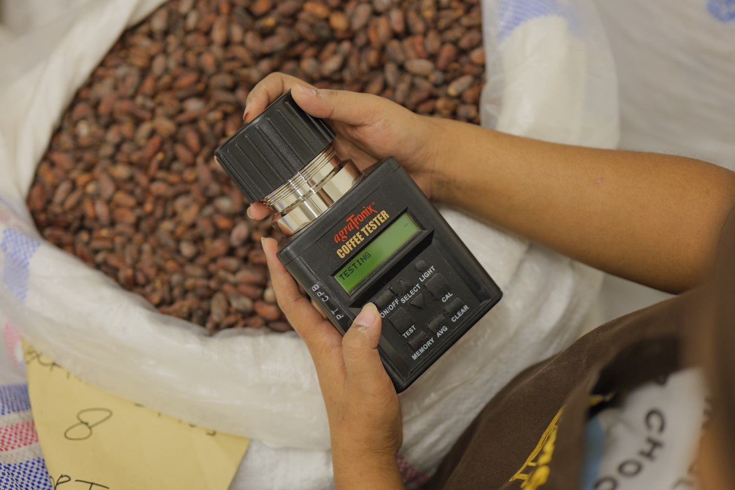 About – Primo Chocolab